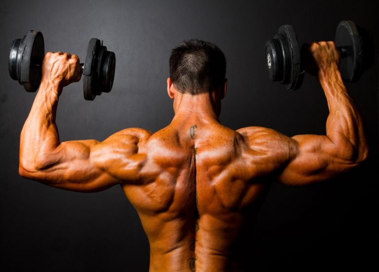 Trapezmuskel - Training des Trapezius