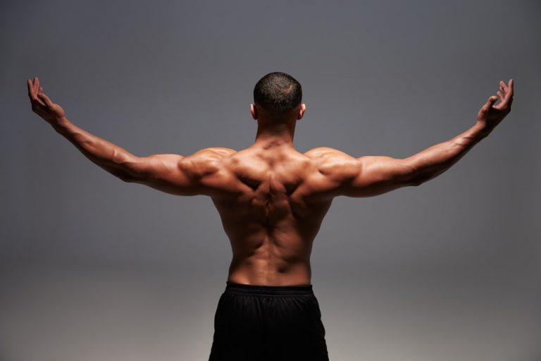 Trapezmuskel - Training des Trapezius